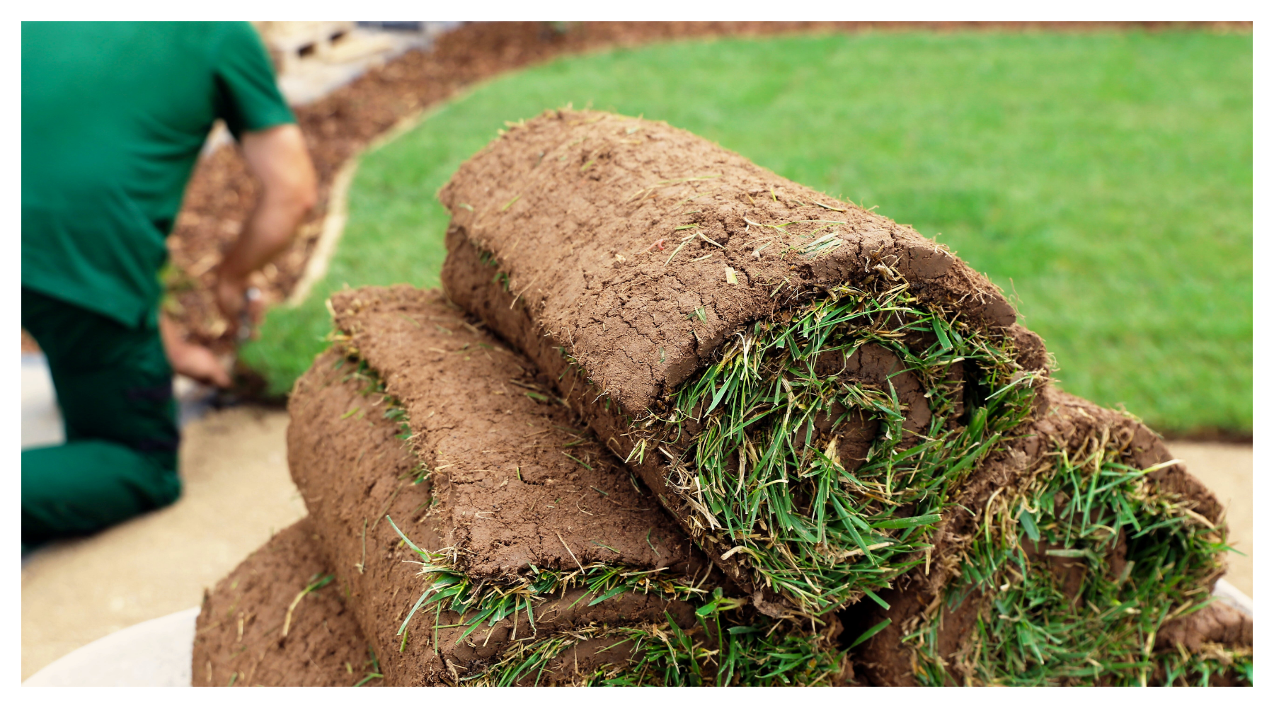 Choosing Your Turf – Eco Landscaping