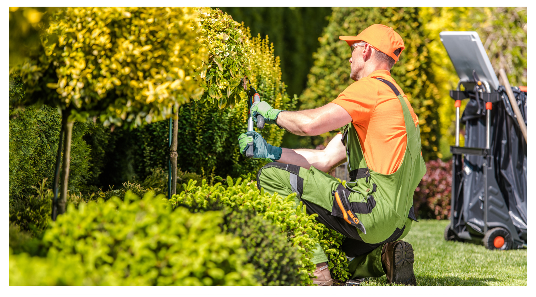 Top 5 Safety Essentials For New Landscapers – Eco Landscaping