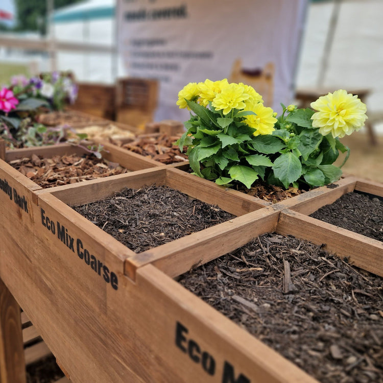 About Eco Sustainable Solutions – Eco Sustainable Solutions Limited