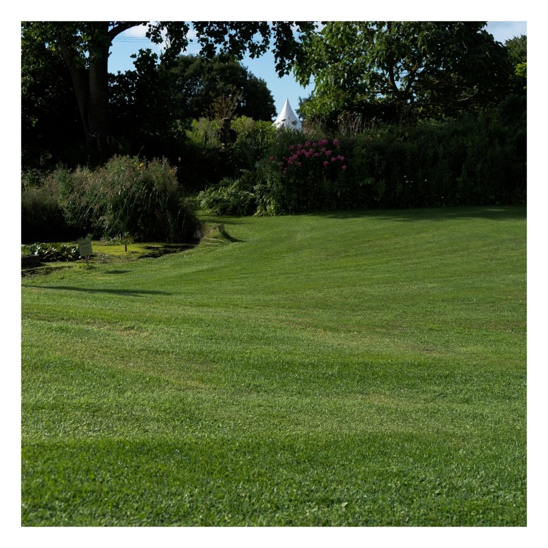 Eco Turf: Premium Medallion Rolls - Britain's Finest Turf – Eco Landscaping